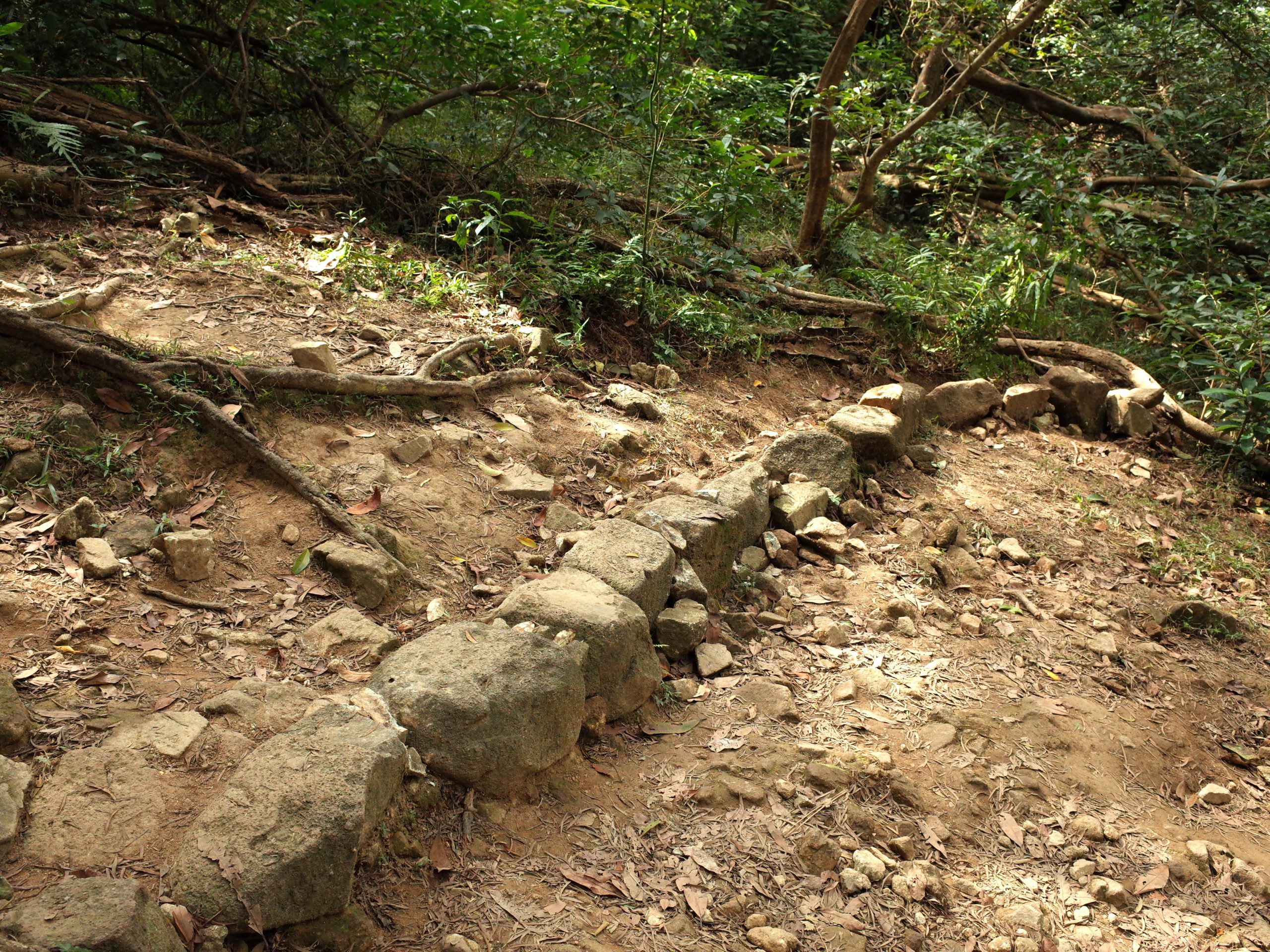 Route 1 《Ma On Shan Country Trail》 – Hong Kong Trails Day 2024