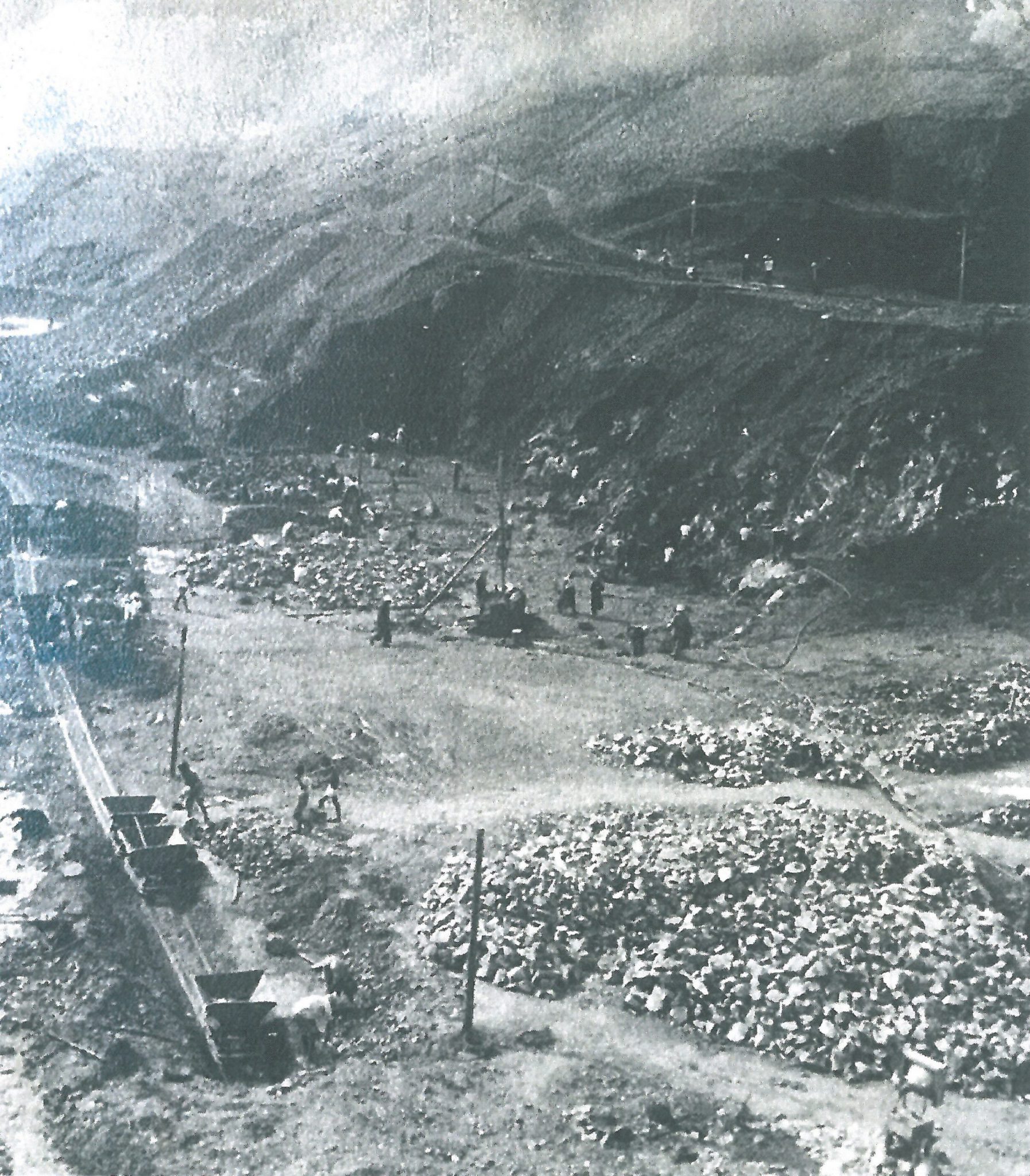 Route 1 《Ma On Shan Country Trail》 – Hong Kong Trails Day 2024