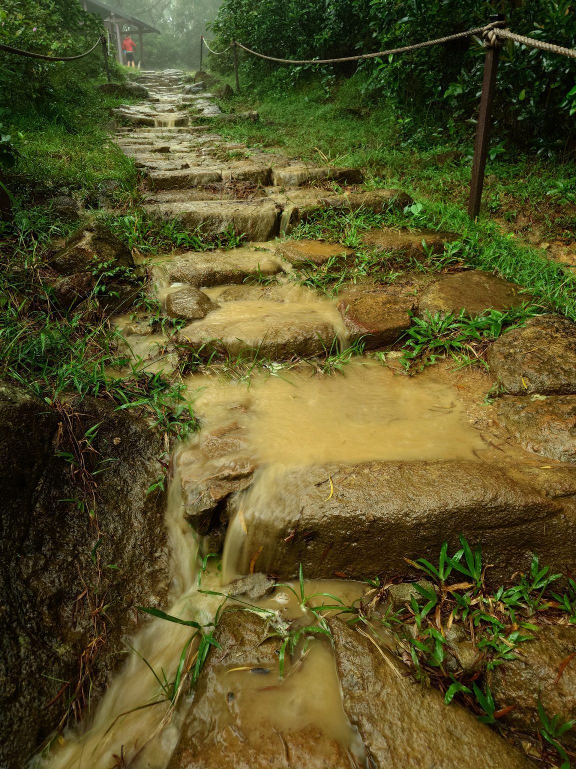 Route 1 《Ma On Shan Country Trail》 – Hong Kong Trails Day 2024